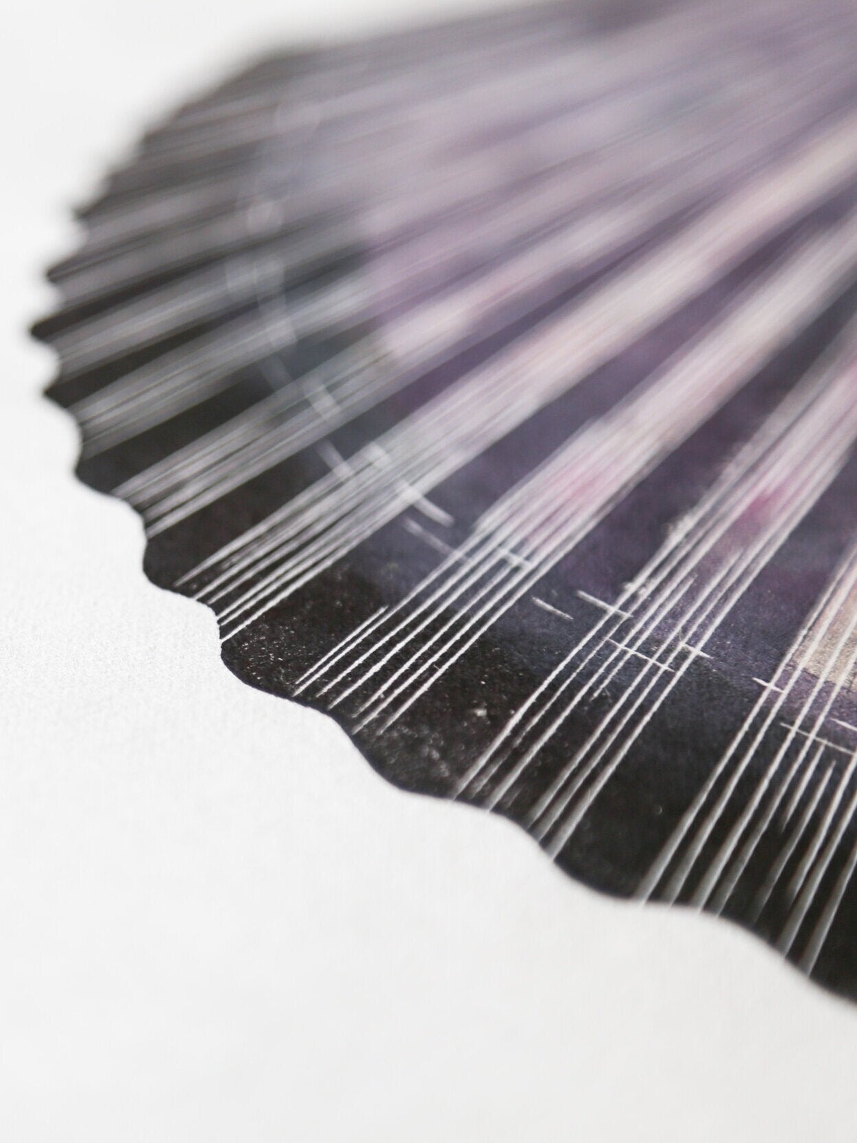 SUPERFOLK NEWS: New Shell Prints – Superfolk