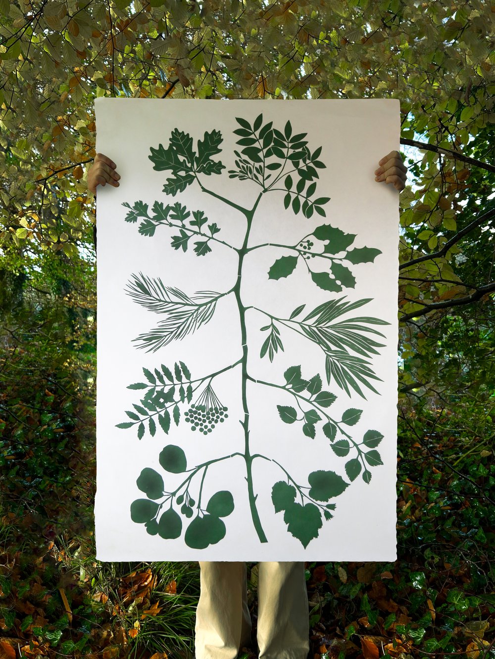 The Tree of Leaves Print in Deep Forest Green – Superfolk