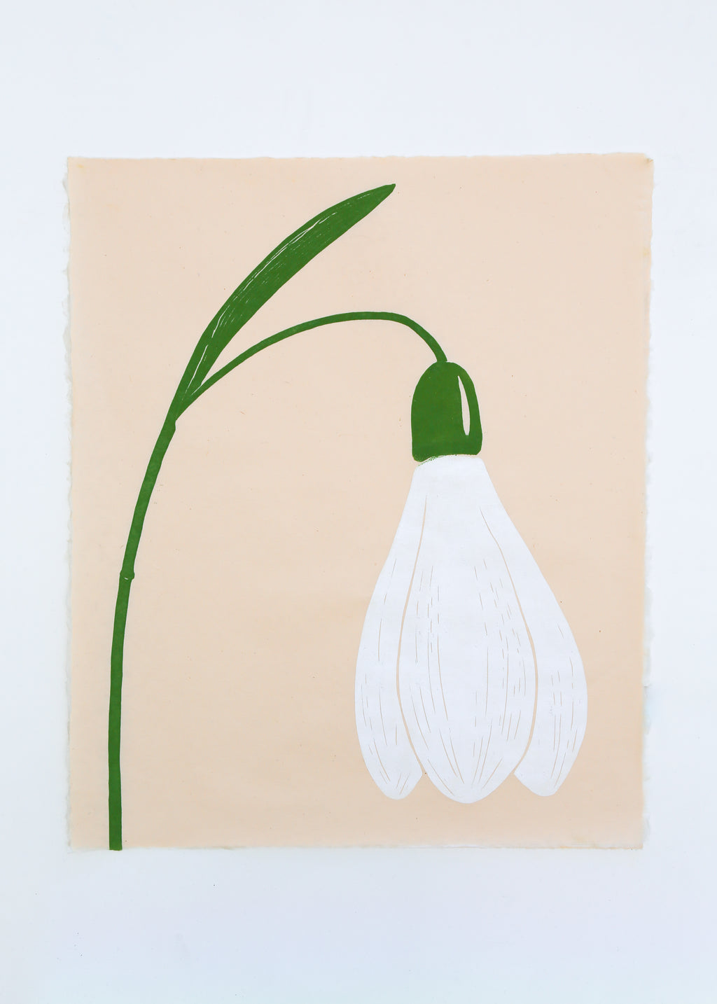 Snowdrop – Superfolk